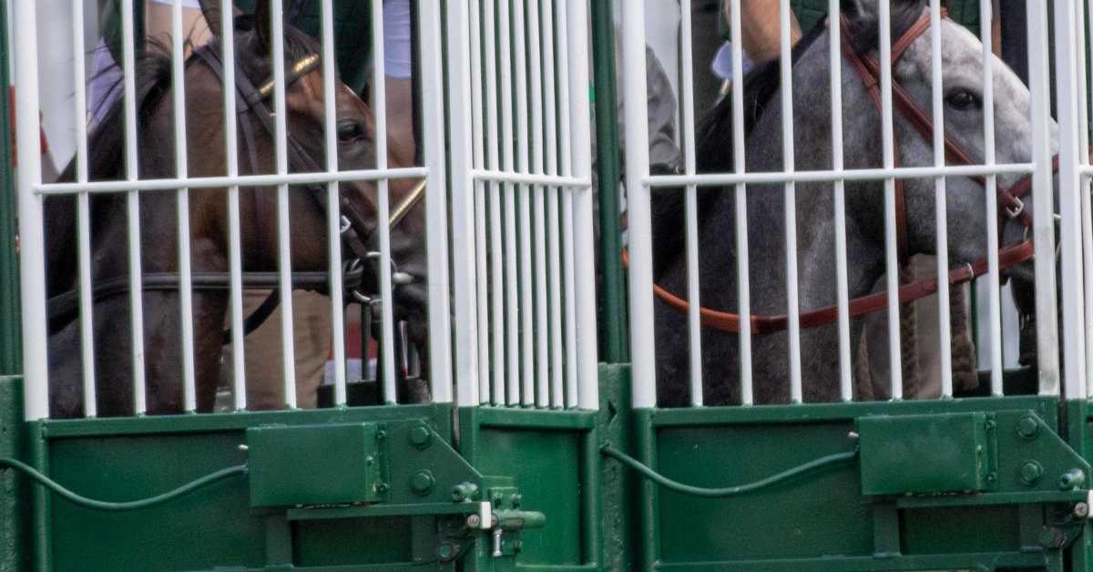 New Study Quantifies Impacts Of Void Claim Rule, Claiming Tag On ...