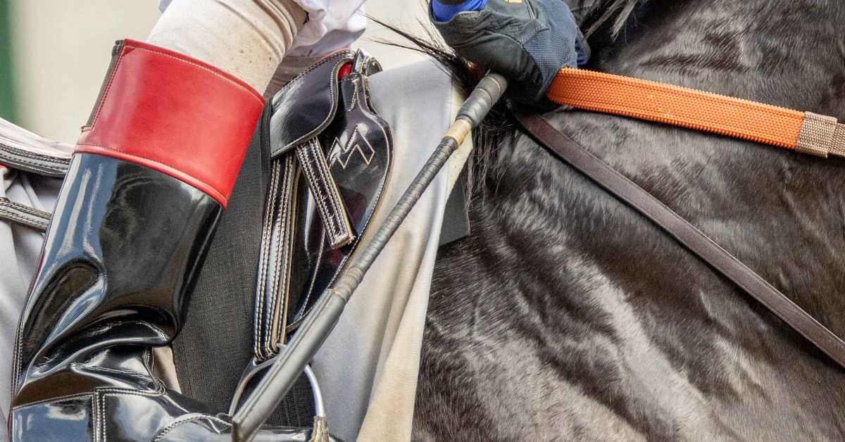 FTC Overturns HISA Whip Ruling In New Mexico; $85,000 Purse Returned To ...