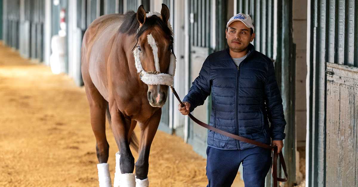 'The Industry Needs Him': Kentucky Derby Winner Mystik Dan Arrives At ...