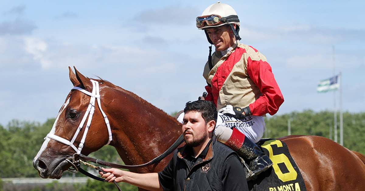Bloodlines Presented By Walmac Farm: How The University Of Virginia ...