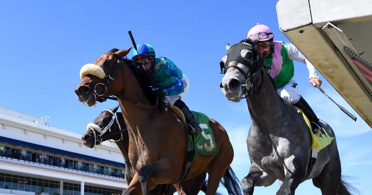 'True Two-Turn Distance Horse' Corporate Power Favored For Saturday's ...