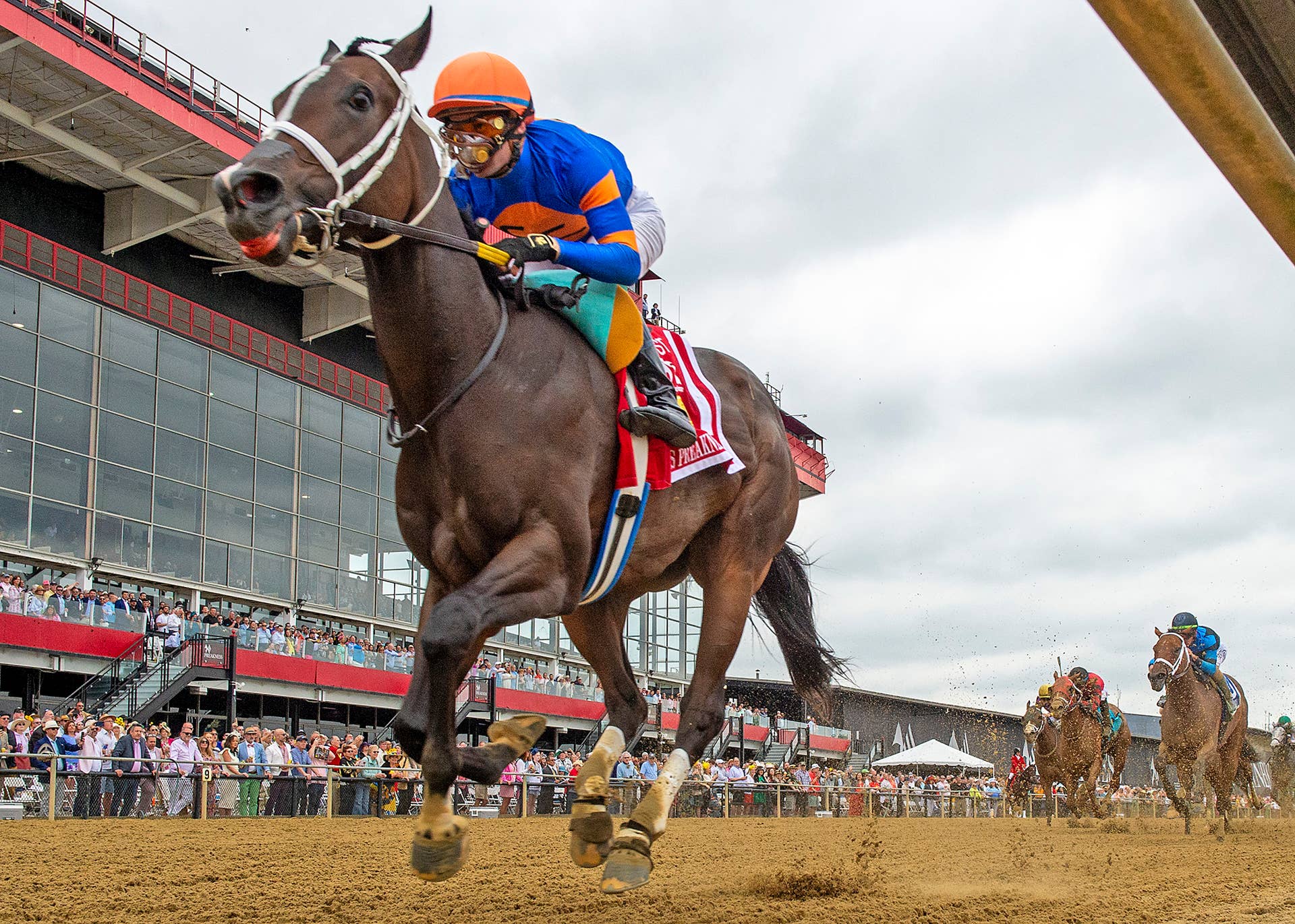 Mystic Lake Makes The Grade In Miss Preakness - Paulick Report | Latest ...