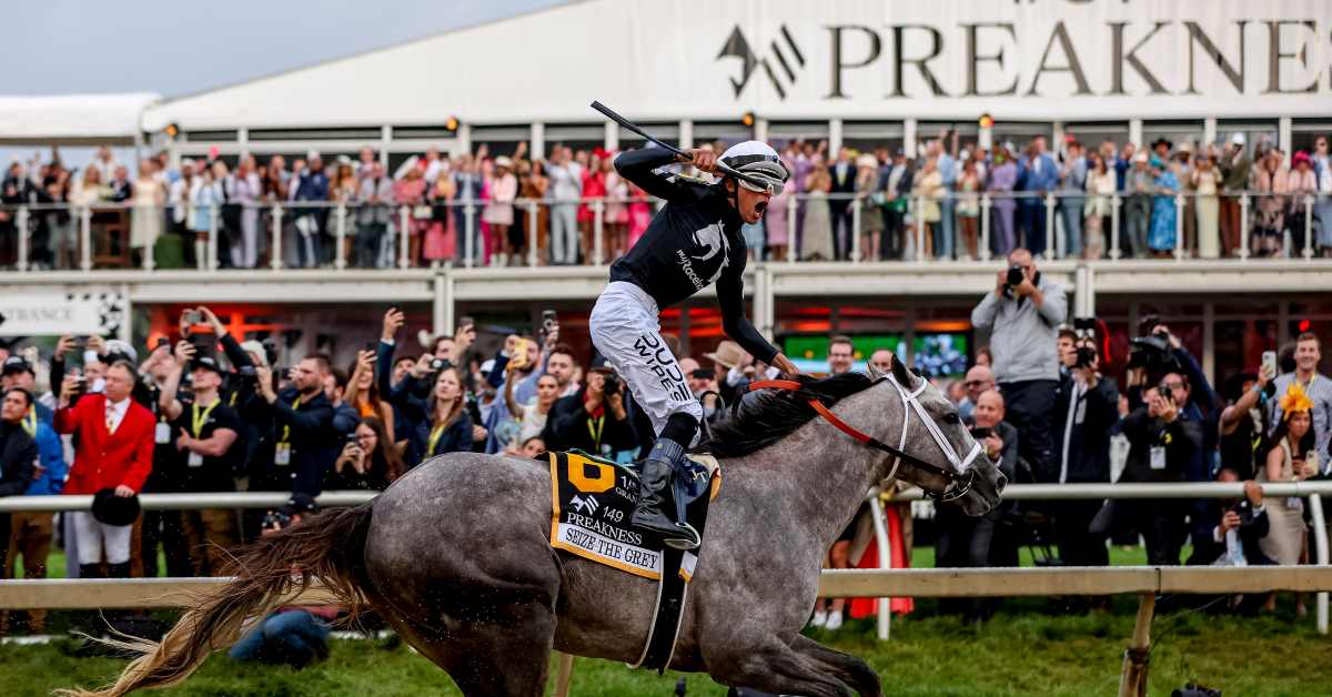 Seize The Grey Rises To Third Spot In NTRA Top 3-Year-Old Poll ...