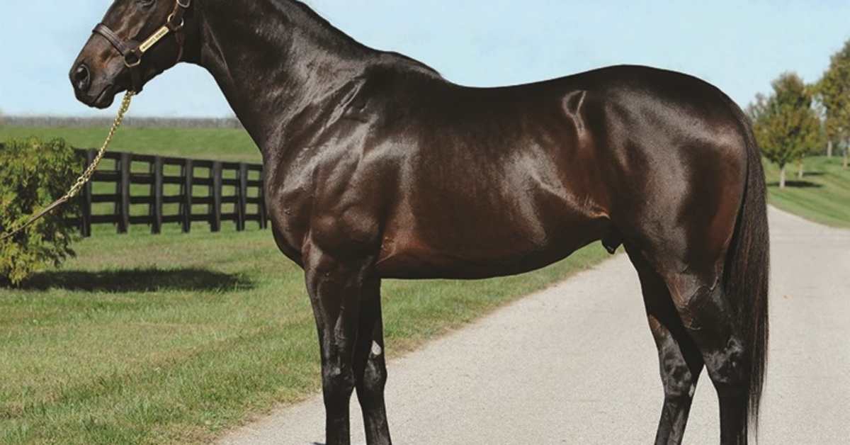 Pennsylvania Leaderboard: Warrior's Reward, Uptowncharlybrown Bring ...