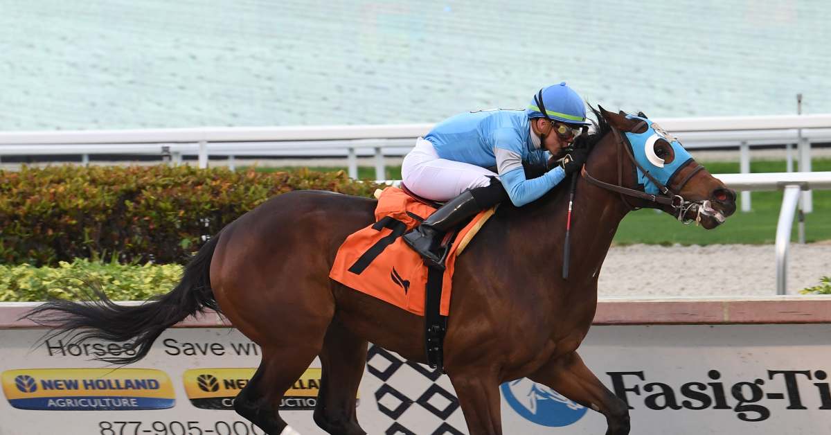 Loco Abarrio Brings Tough-Guy Attitude Into Gulfstream's Big Drama ...