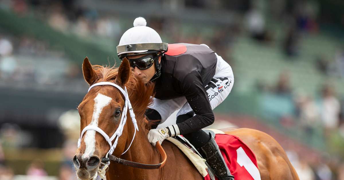 The Chosen Vron Cruises To 17th Stakes Win In Thor's Echo - Paulick ...