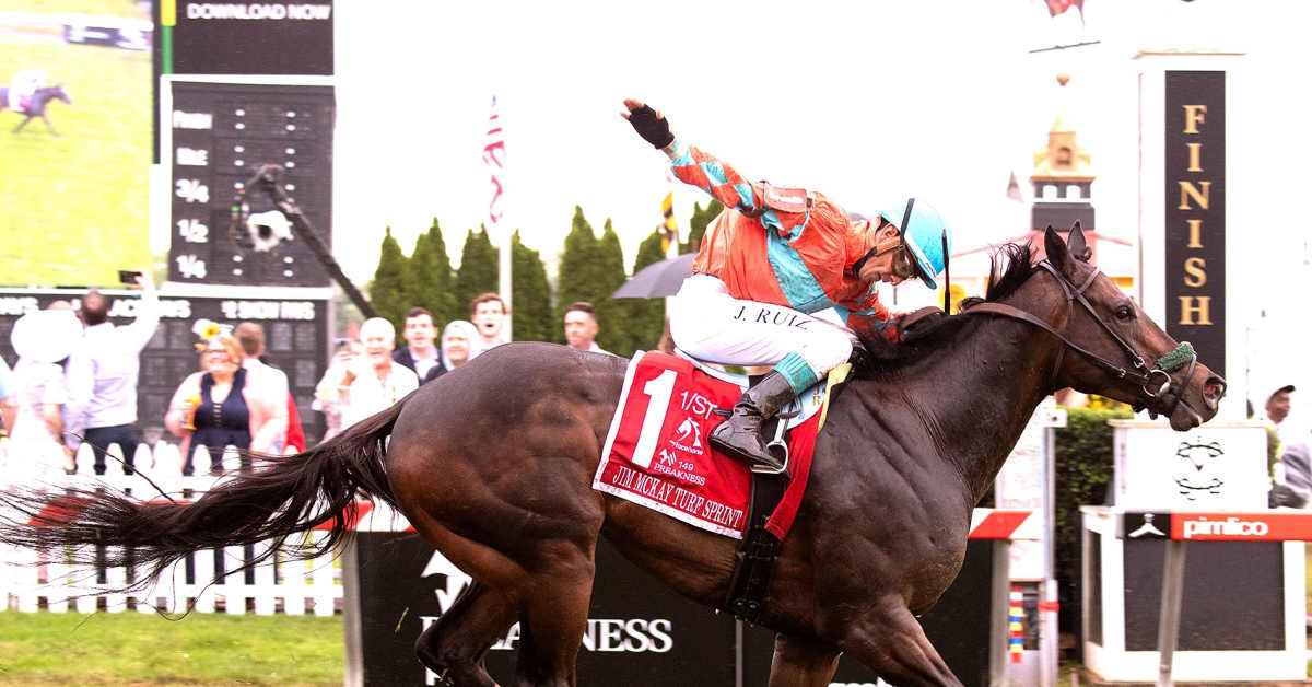 Grooms All Bizness Pointing To 'Win And You're In' Jaipur On Belmont ...