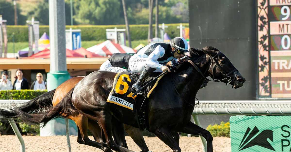 'Best Filly In The Race': Anisette Notches Another Top-Level Win In ...