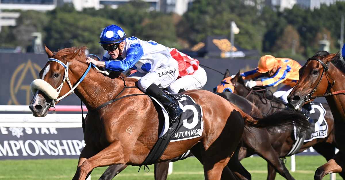 Australia: Peter Moody's QLD Derby Tonight - Paulick Report | Latest ...