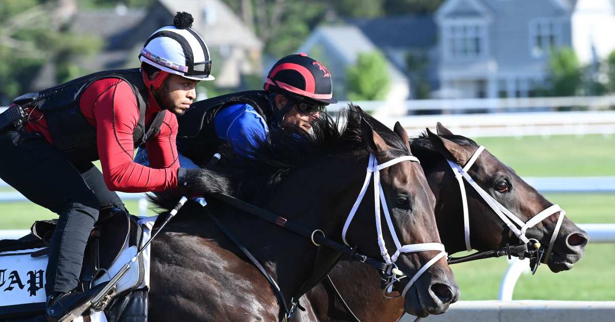 Pletcher Trio Mindframe, Antiquarian And Protective Have Final Belmont ...