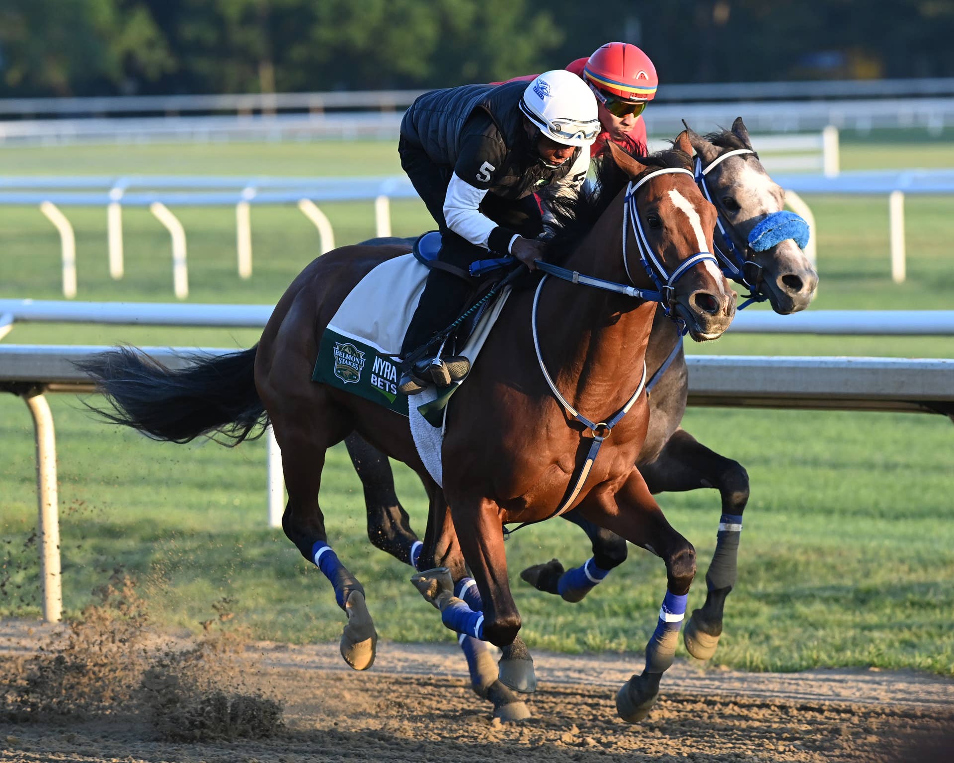 Mystik Dan's Strong Gallop-Out Boosts McPeek's Confidence One Week ...
