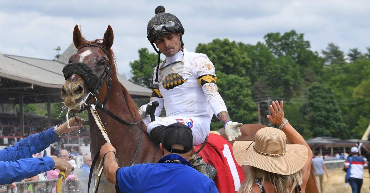 Studydoright Bids For Third Straight In Saratoga's Sanford - Paulick ...