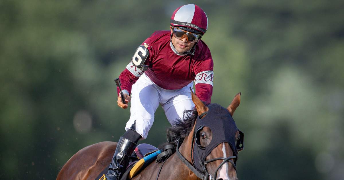 Danny Gargan Plotting Path To Travers For Dornoch - Paulick Report ...