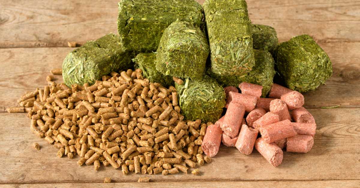 HIWU Suspends Trainer 15 Days; Caffeine-Tainted Supplement Mix Found In ...