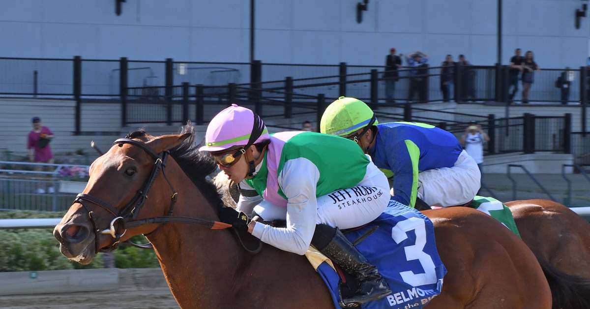Bloodlines Presented By Walmac Farm: Accede Brings A Familiar Success ...