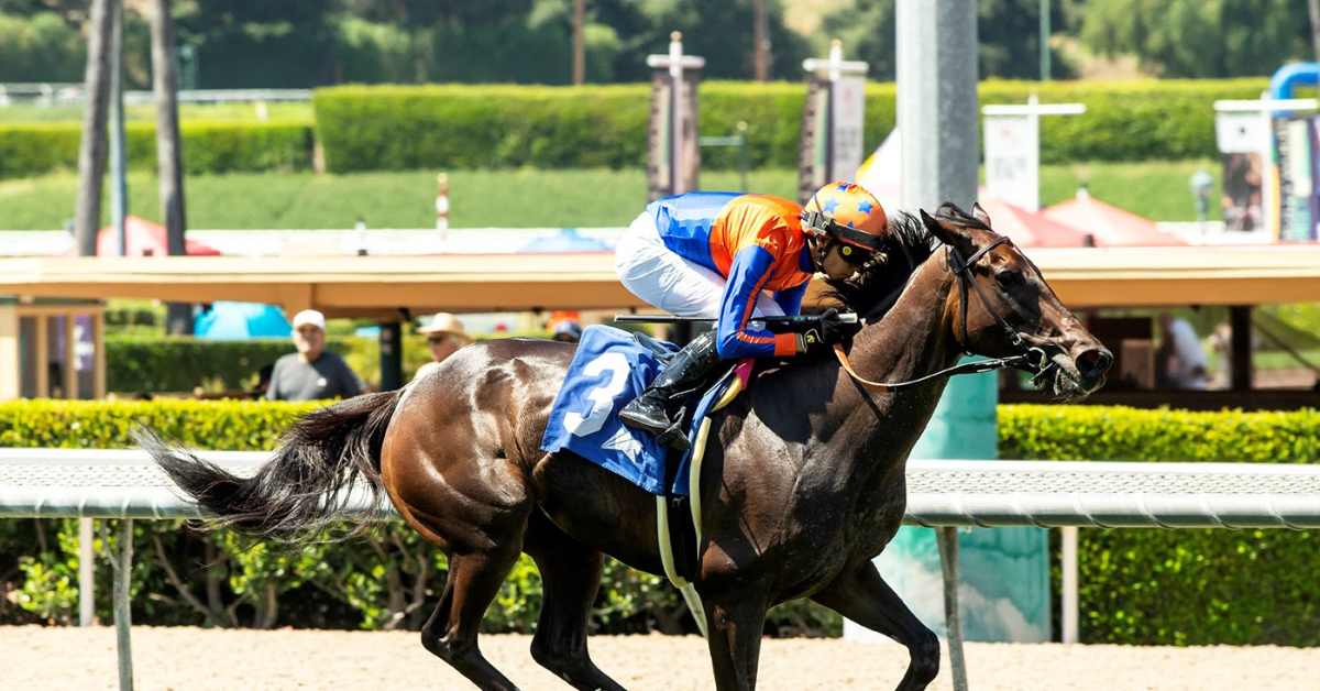 'Masterful Job': Linda's Gift Strikes For Fourth Stakes Victory In ...