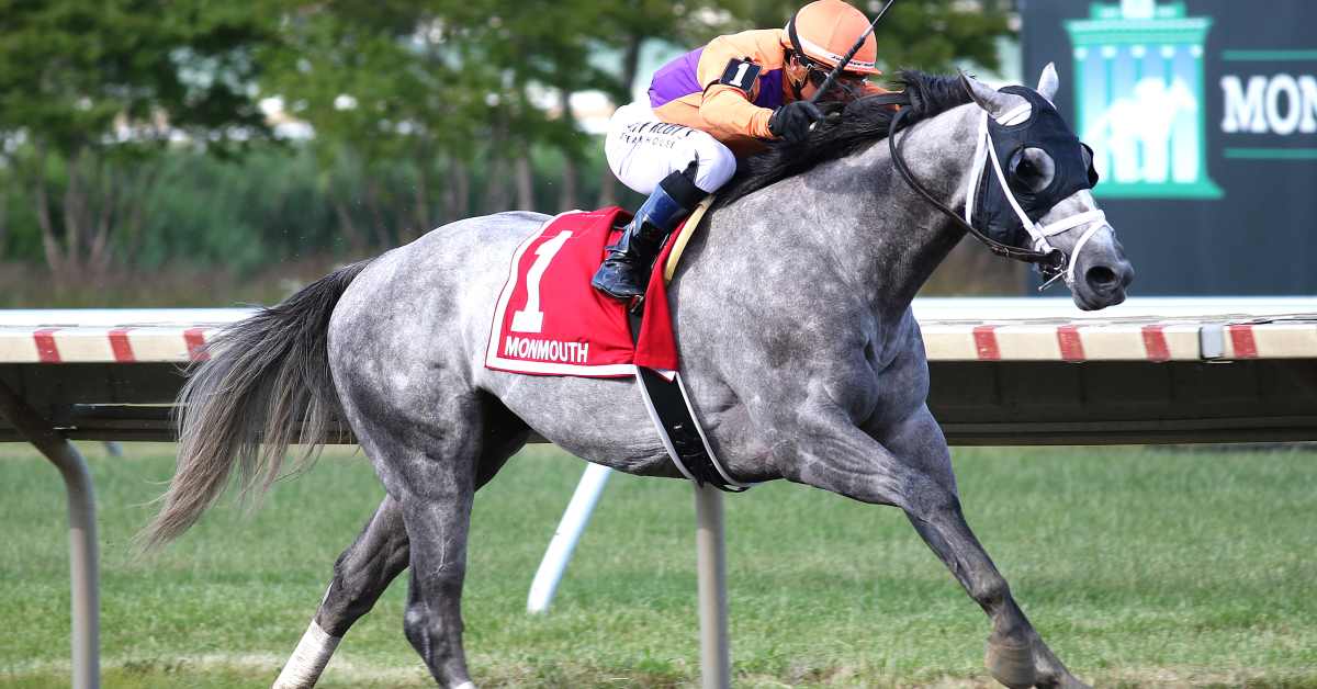 Stakes Winner Tuscan Sky Tops Fasig-Tipton January Digital Sale ...