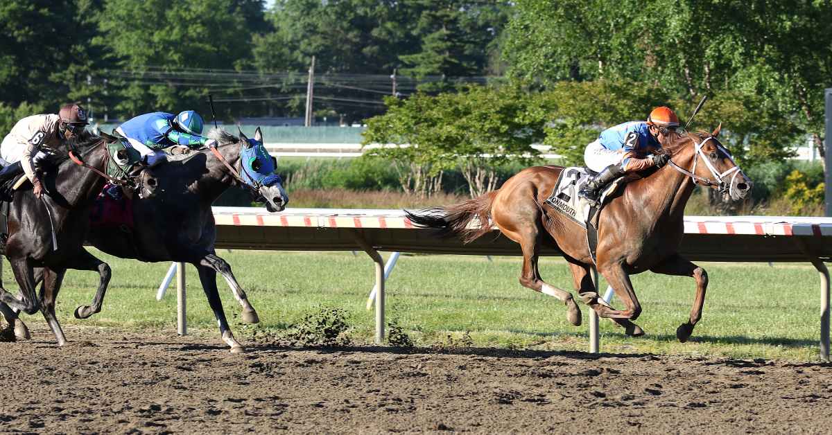 Whitney Hopefuls Bright Future, Skippylongstocking, Il Miracolo Log ...