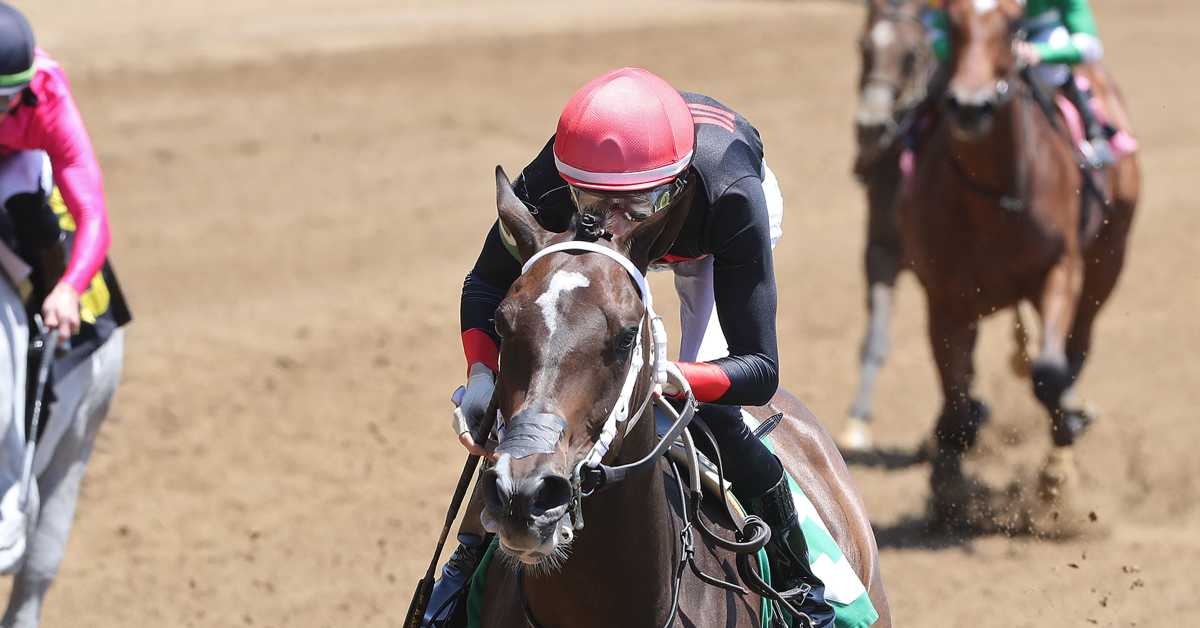 Gate-To-Wire Debut Winner Adeera Steps Up In Churchill's Debutante ...