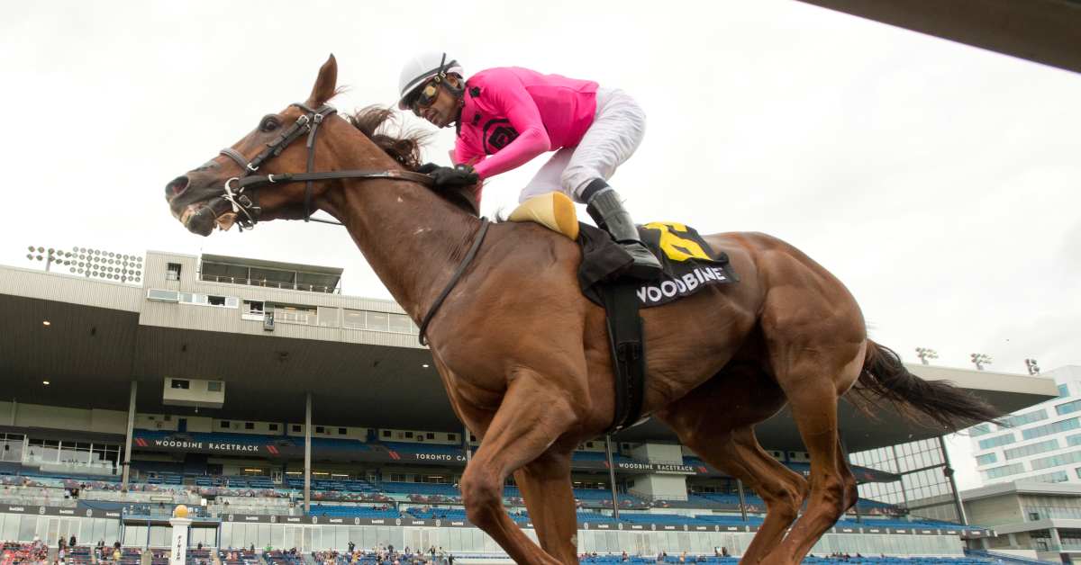 'He's All Speed': Paramount Prince Rolls On Front End To Dominion Day ...