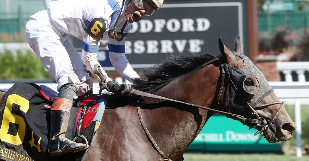 Iroquois: Politicallycorrect Has 'Experience Edge,' Jonathan's Way ...