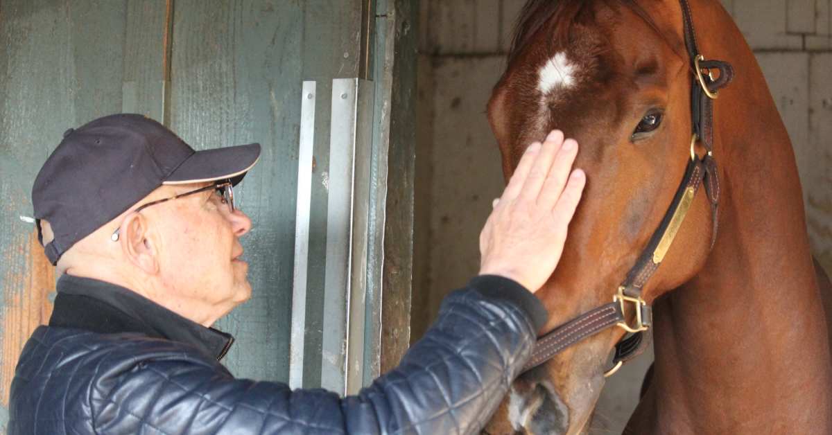 Letter To The Editor: The David Hofmans I Knew - Paulick Report ...