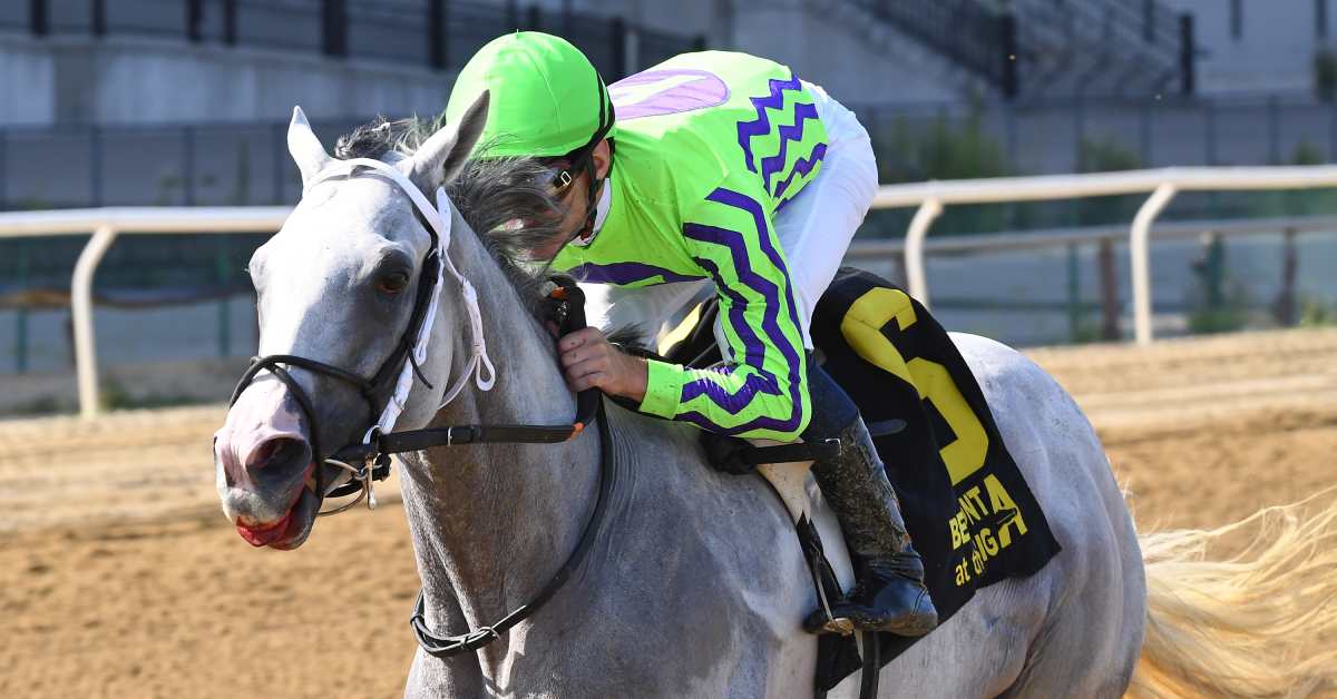 Cowans Eyes Birdstone Repeat For Two-Time Brooklyn Winner Next ...