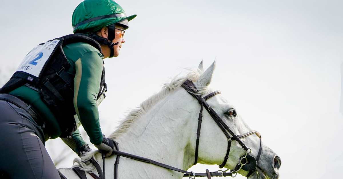 From Tampa Bay To International Eventing, OTTB Vincent Chase’s ...