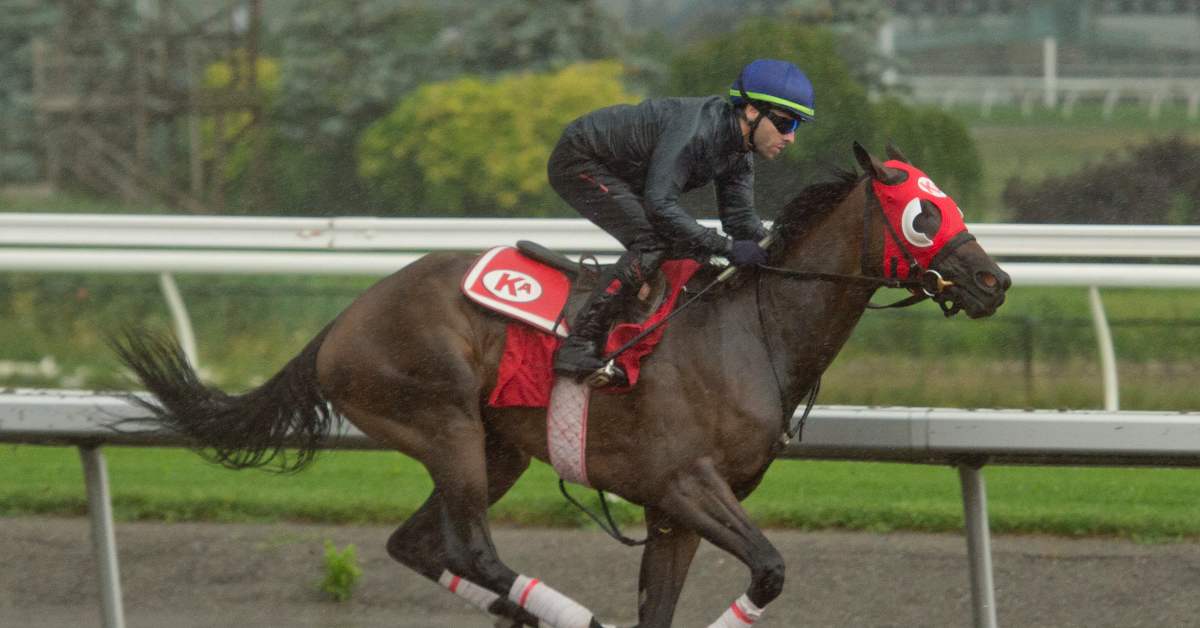 Kevin Attard To Saddle Five Of 14 In Woodbine Oaks - Paulick Report ...