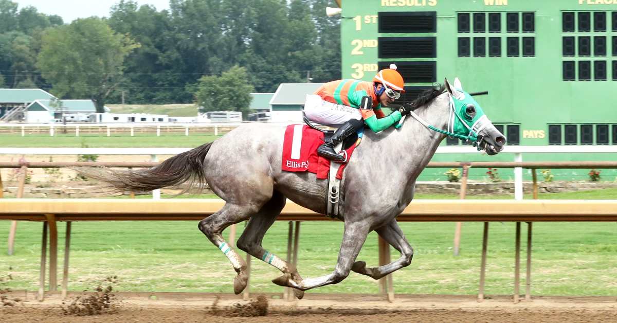 Here Mi Song Scores Repeat Win In Ellis Park's Jeff Hall Memorial ...