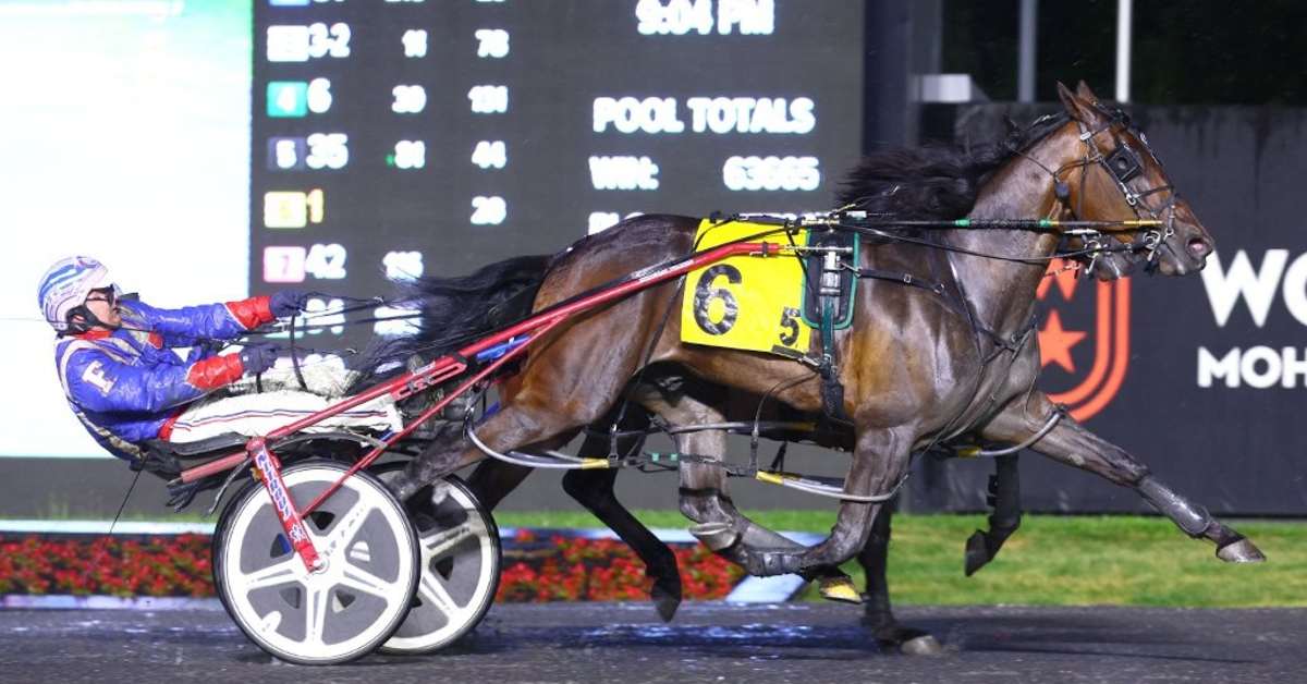 Leading Ontario Standardbred Trainer Richard Moreau Suspended After ...