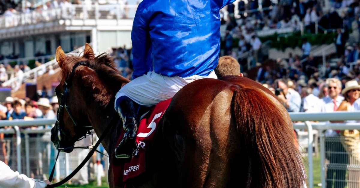 Appleby: Notable Speech 'The Horse They've All Got To Beat' In Breeders ...