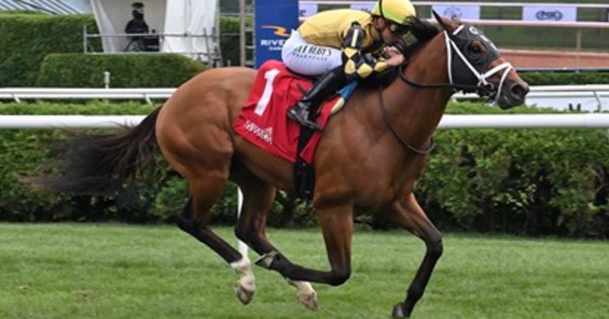 Governor Sam Wheels Back Off Short Rest For Saturday's Tyro - Paulick ...