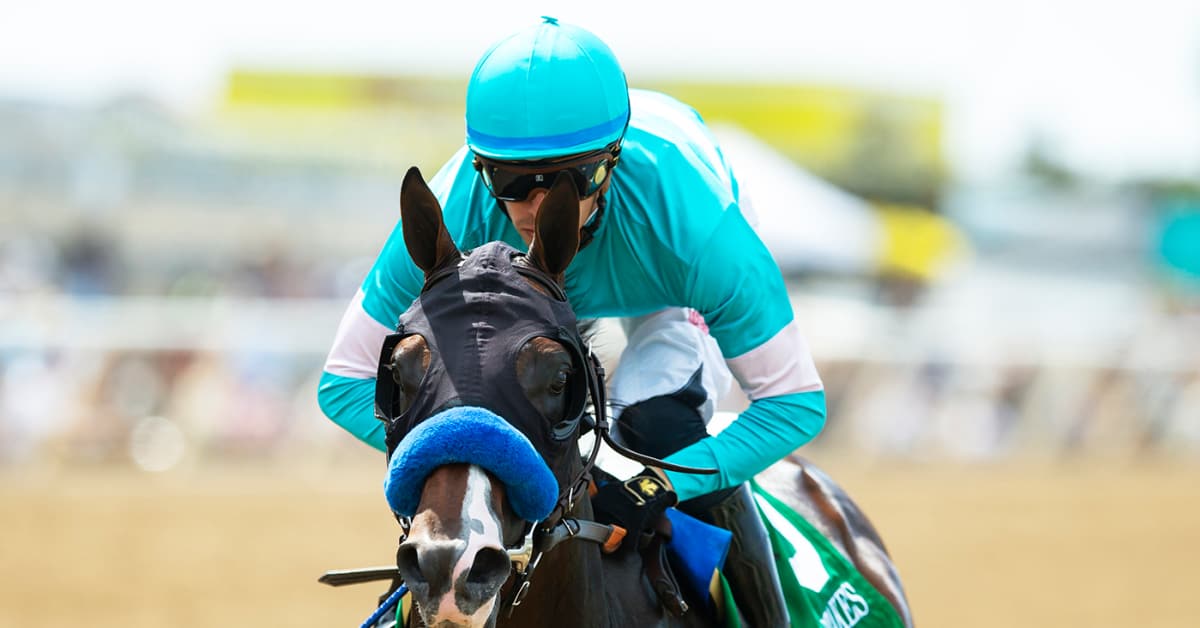 McKinzie Street Stretches Out Seeking First Stakes Win In American ...