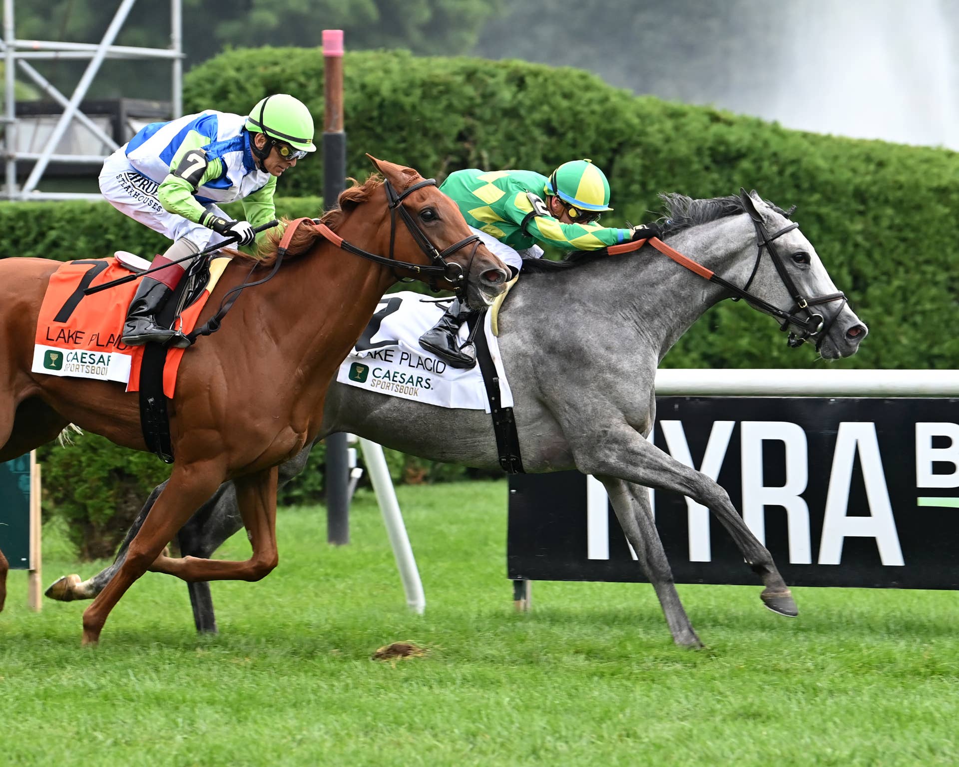'Brave' Grayosh Triumphs In Lake Placid Thriller - Paulick Report ...