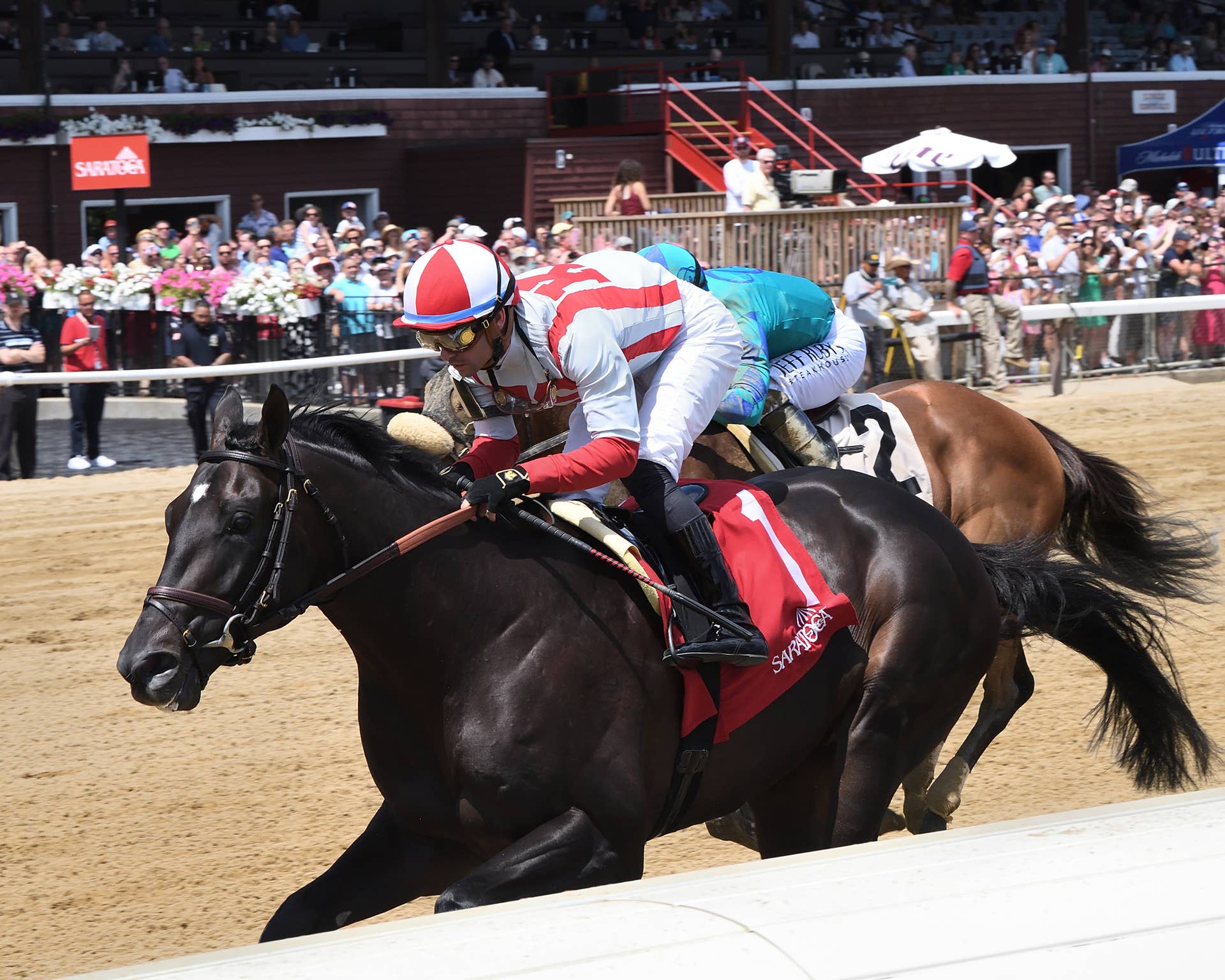 Travers Dark Horse? Chad Brown 'Very Confident' In 8-1 Unmatched Wisdom ...