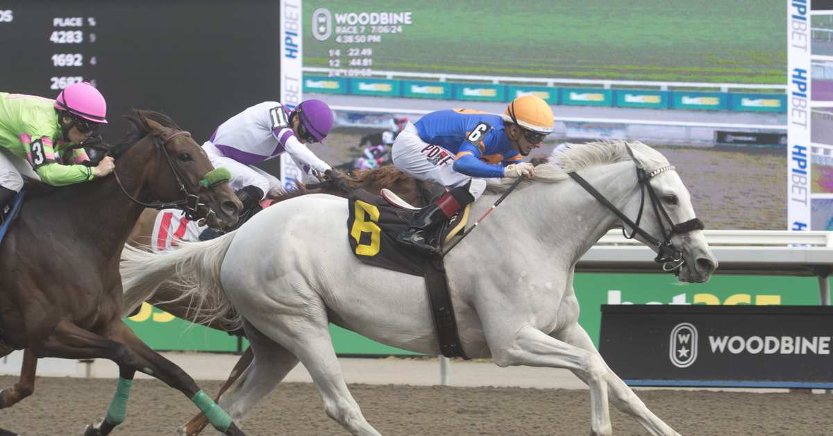 Drexler Hoping Bessarabian The 'Perfect Scenario' For Queen Macha ...