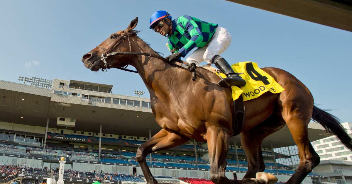 'Professional' Plate Trial Entrant Scorching Went Through 'A Lot' To ...