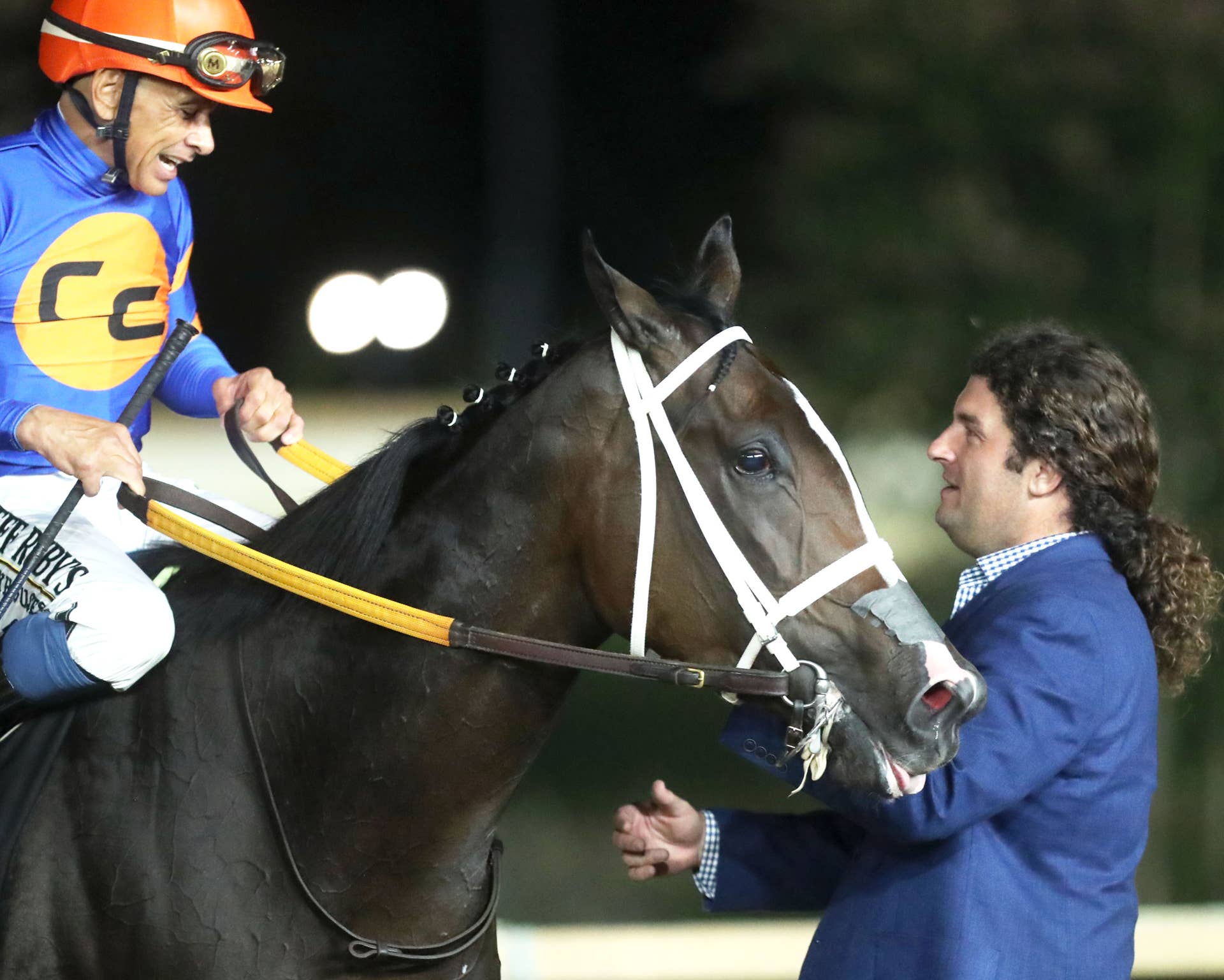 Mystic Lake Named 2024 Florida-Bred Horse Of The Year - Paulick Report ...
