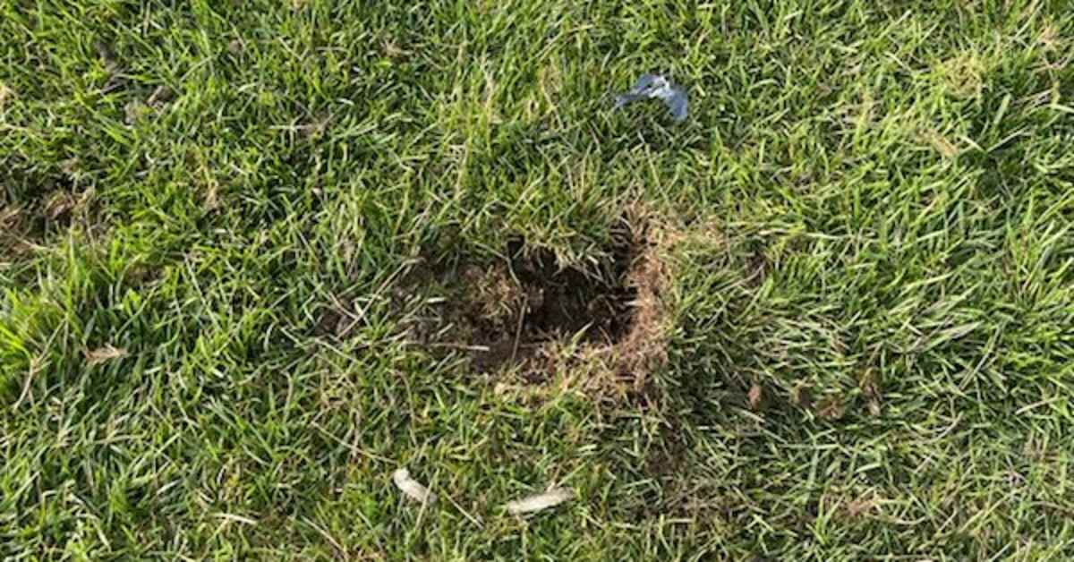 Parx: We Take Pride In The Condition Of Our Courses - Paulick Report ...