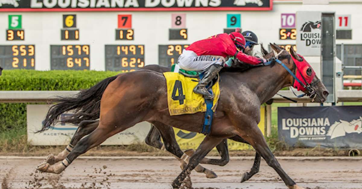 Longshots Dominate Louisiana Cup Day At Louisiana Downs - Paulick ...