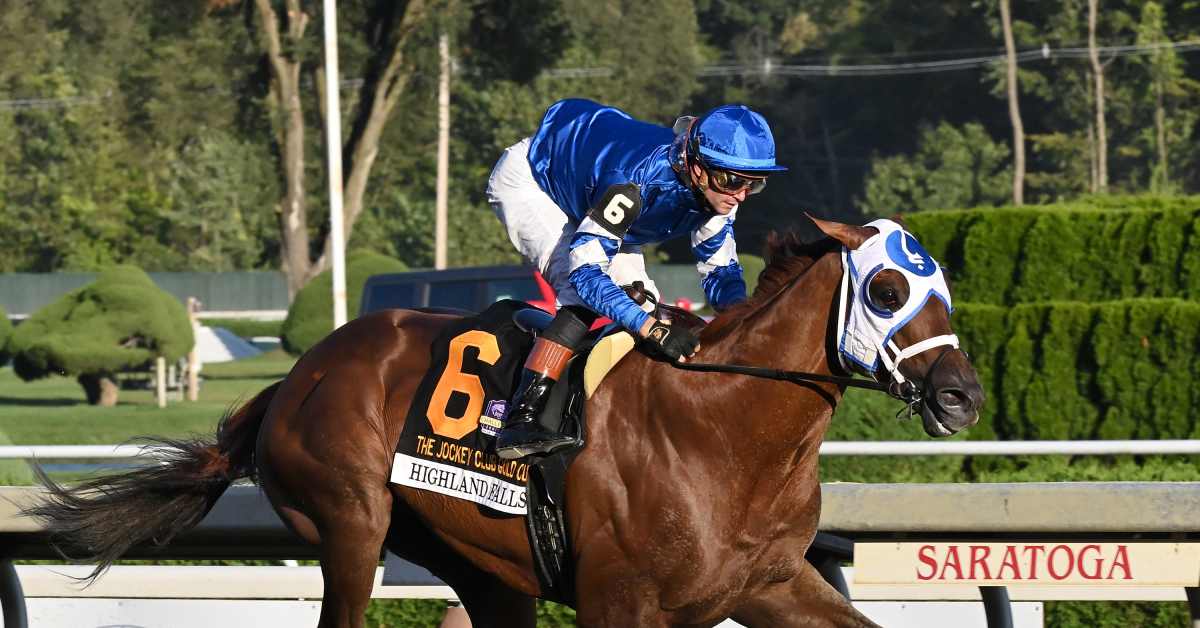 Highland Falls Scores Top-Level Breakthrough In Jockey Club Gold Cup ...