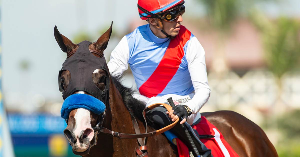 Bob Baffert To Saddle Four Of Seven In Los Al's Starlet - Paulick ...