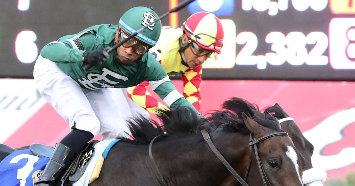 Jockey Of The Week: Manny Franco Scores Five Stakes Wins At Colonial ...