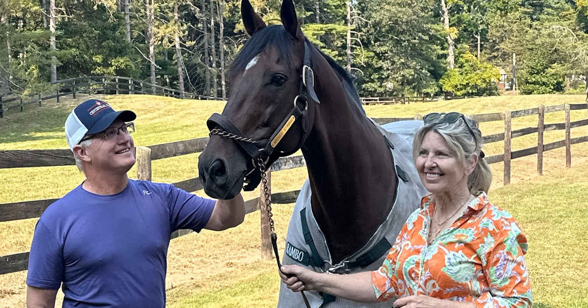 Kentucky Derby Runner Wicked Strong Pensioned To Racing Owner's Farm In ...