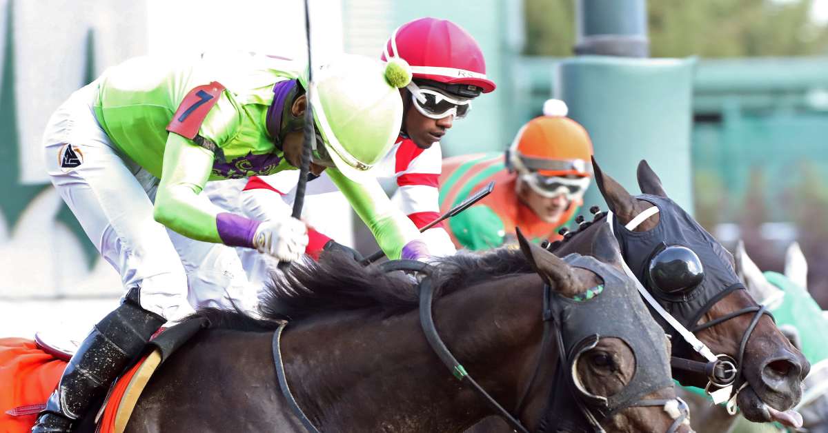 Happy Is A Choice Targets 'Win And You're In' After Strong Churchill ...