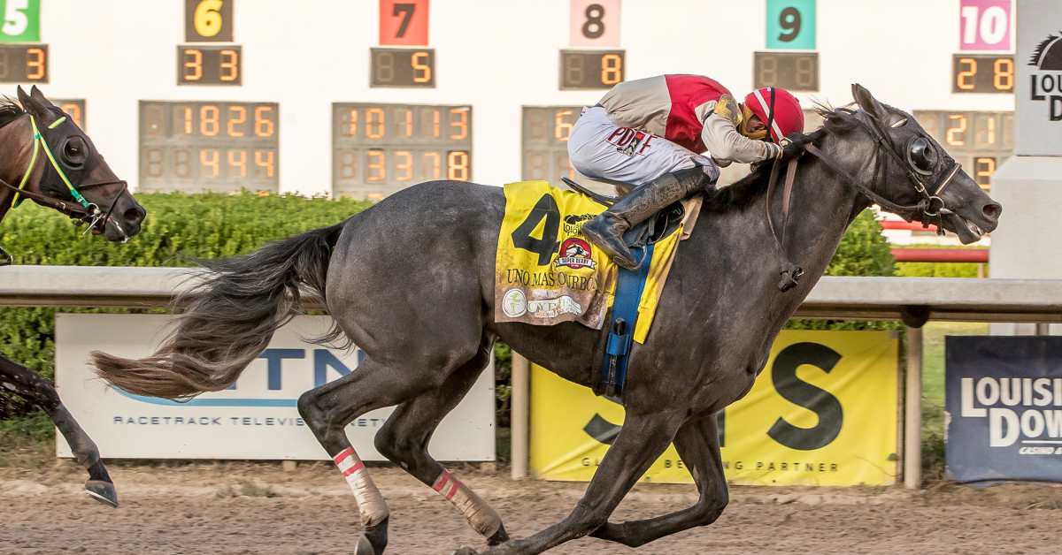 Uno Mas Bourbon Seeks First Graded Stakes Victory in Ben Ali - Paulick ...