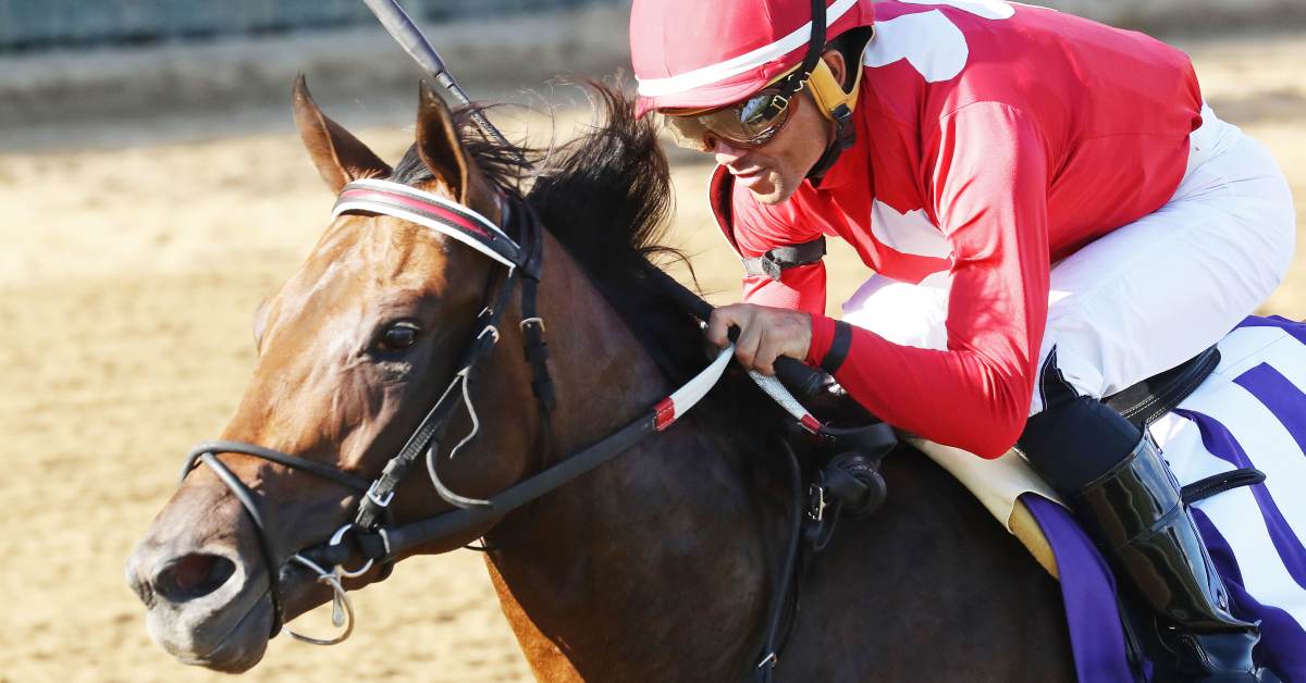 Jonathan's Way Posts 'Very Good' Gallop Out In Breeze Toward Risen Star ...