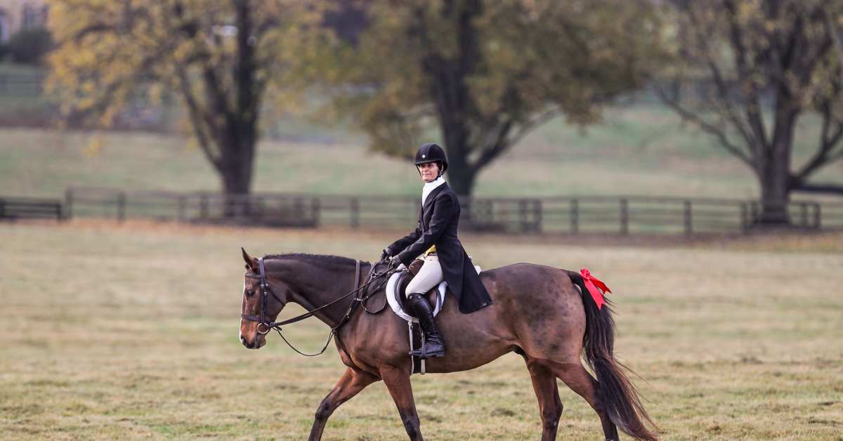 Talk Show Man Wins 2024 Bill Kraatz Thoroughbred Makeover Ambassador ...
