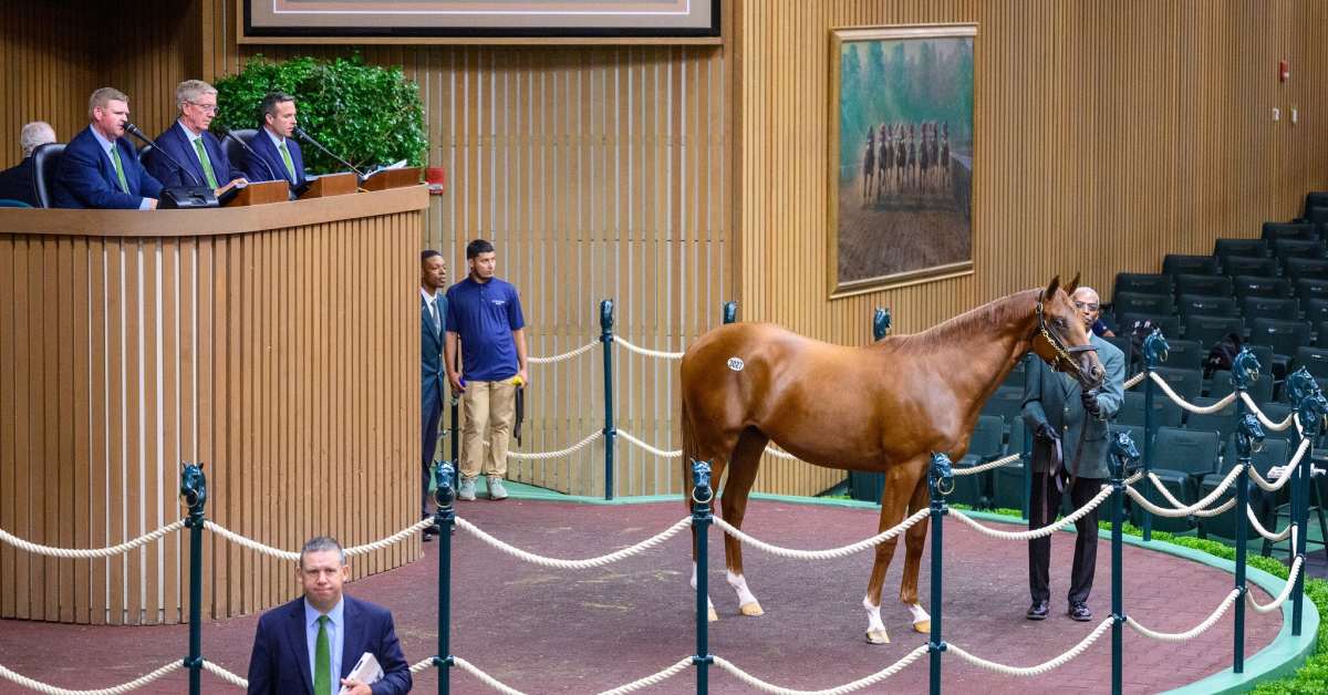 Gross Sales At Keeneland September Yearling Sale Surpass 2023 Total ...